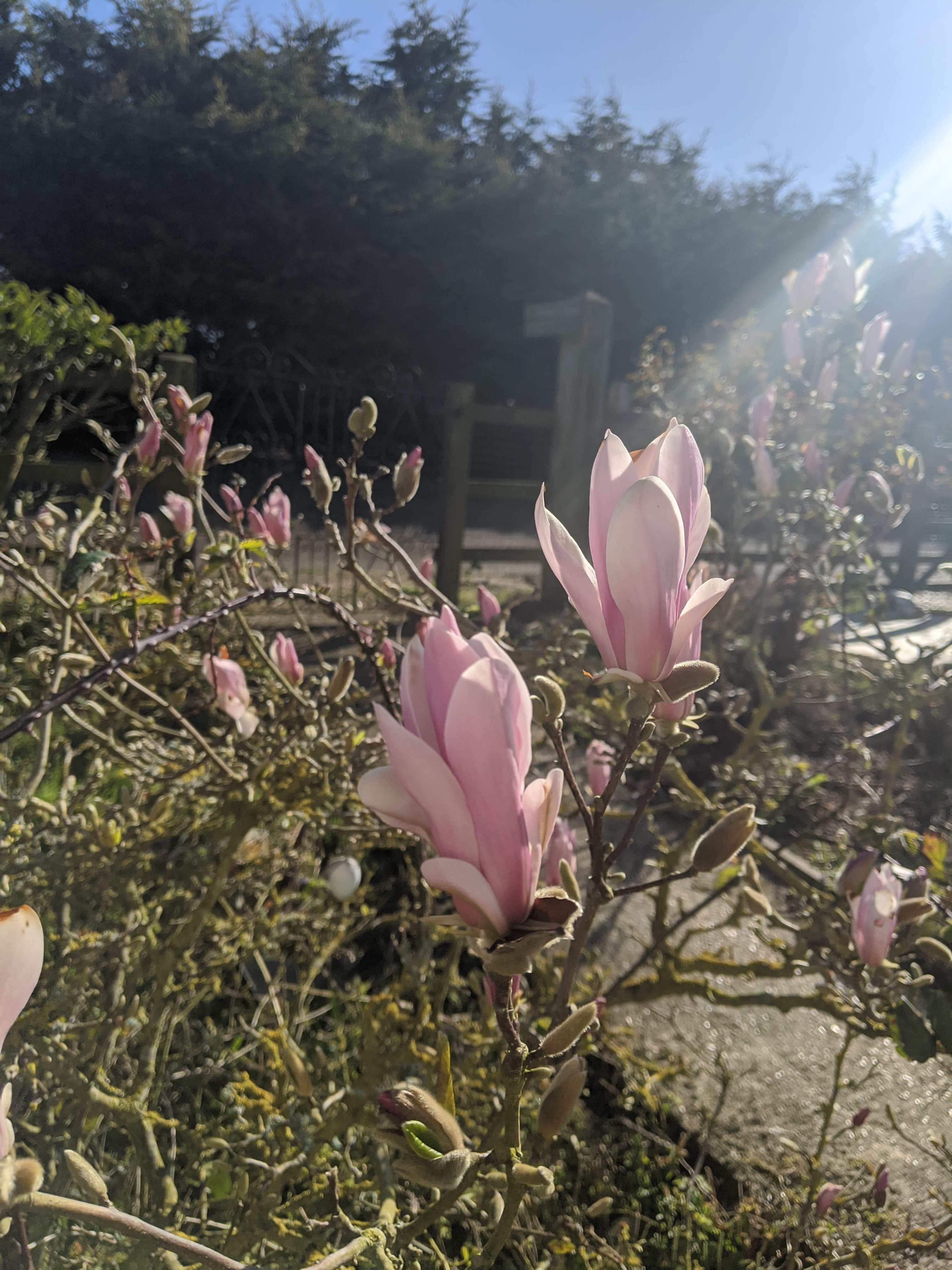 Unlocking Creativity: Tips for Inspiring Your Artistic Journey – Eau ...